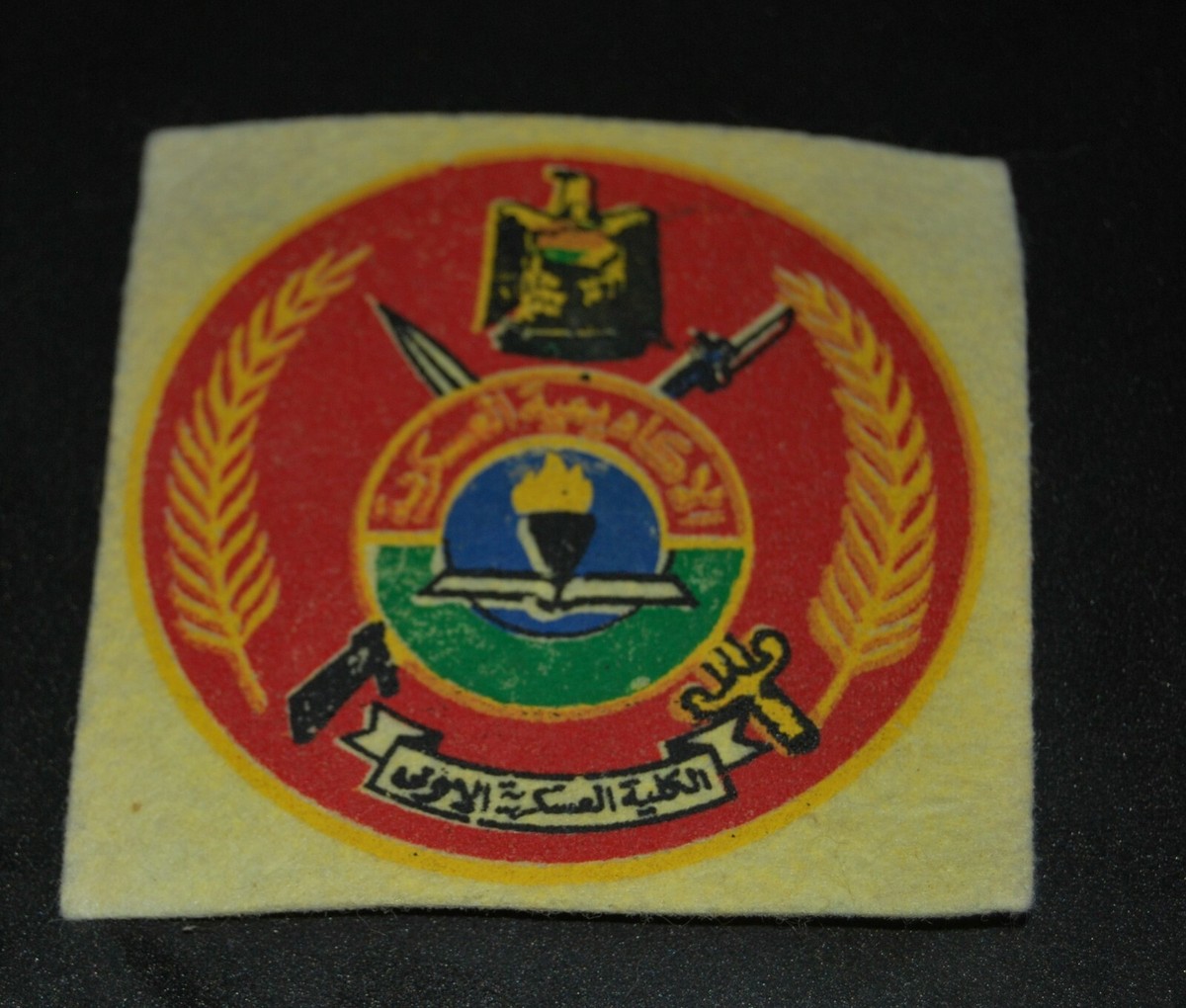 Saddam Logo