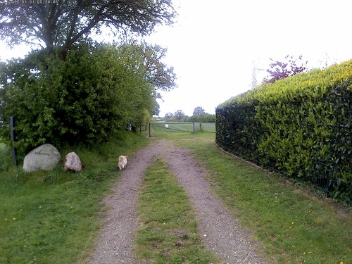 Jeemak ACT74R 2 Zoll 4K UltraHD Action Kamera - Schwarz online kaufen ...