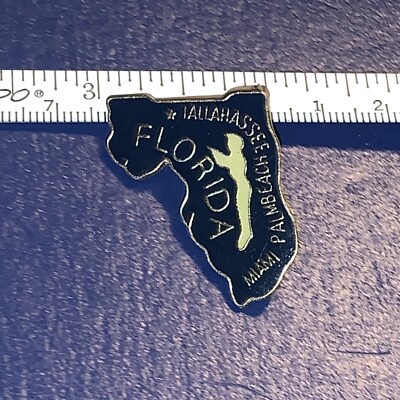 State of FLORIDA Hat Lapel Push Pin Tie Tac w/ Black Velvet Bag NEW | eBay