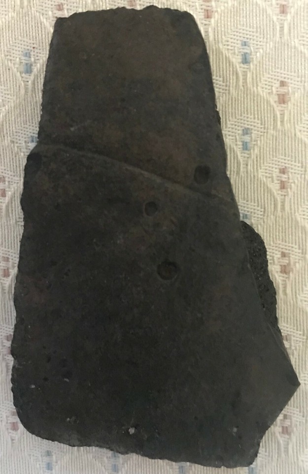 Fossilized Turtle Shell Fragment from Florida, Pleistocene Epoch (1) | eBay