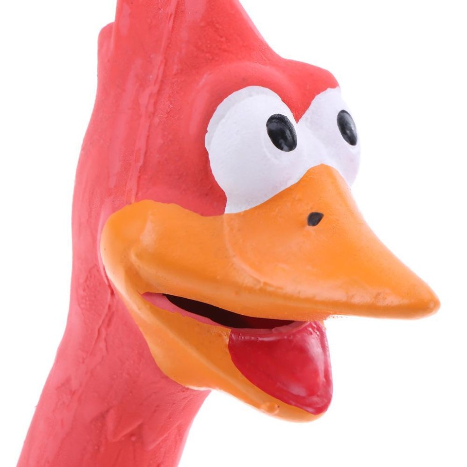 Funny Screaming Chicken Toys Rubber Crazy Screaming Chicken Toy Pet Dog ...