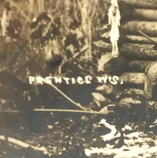 Antique RPPC Hunting Hunters Log Cabin Guns Rifles Animal Hides Deer ...