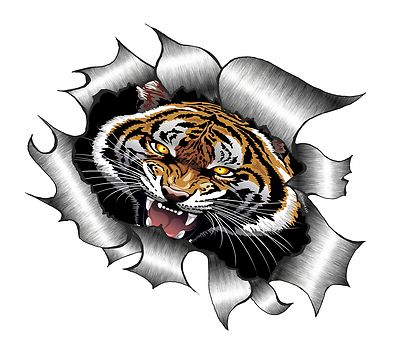 Ripped Torn Metal Look Design & Roaring Bengal Tiger Design vinyl car ...