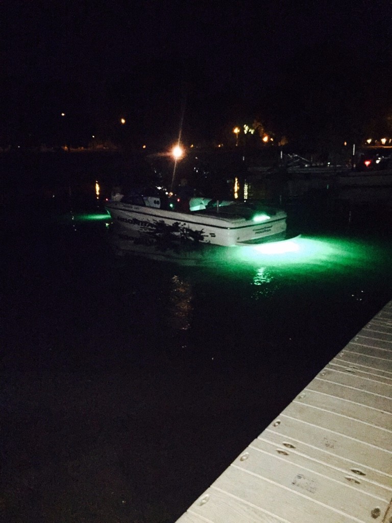 Trim Tab Led Underwater Lights Bluefin LED Piranha P6 NITRO Single