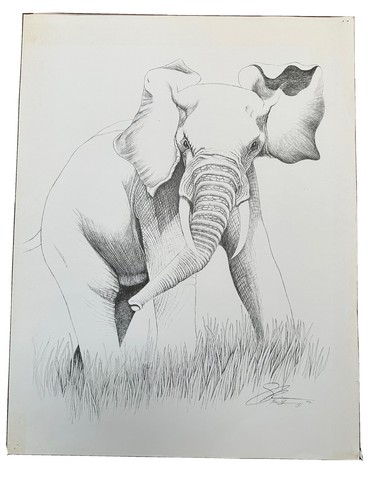 Vintage 1977-Susan Morrison Signed Elephant (Bull) -number 8/100 | eBay