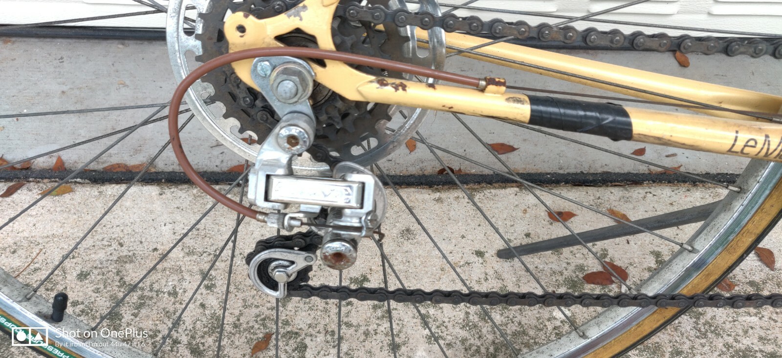 VINTAGE LE MANS CENTURION BICYCLE MADE IN JAPAN. LOCAL PICKUP ONLY | eBay