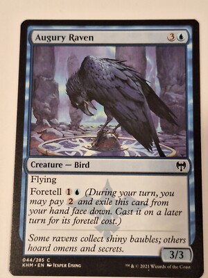 Augury Raven - Kaldheim - Magic the Gathering MTG Nice! | eBay