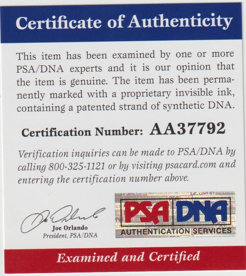 LAUREN COHAN AS MAGGIE REED THE WALKING DEAD SIGNED 8X10 PHOTO FRAMED ...