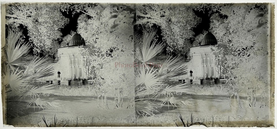 Voyage In Egypt Garden Architecture C1920 Photo Negative Plaque Vintage ...