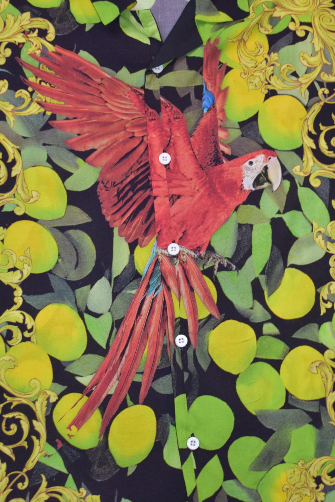 LRG Lifted Research Group Mens A1 Perico Parakeet Woven Button-Up Shirt ...