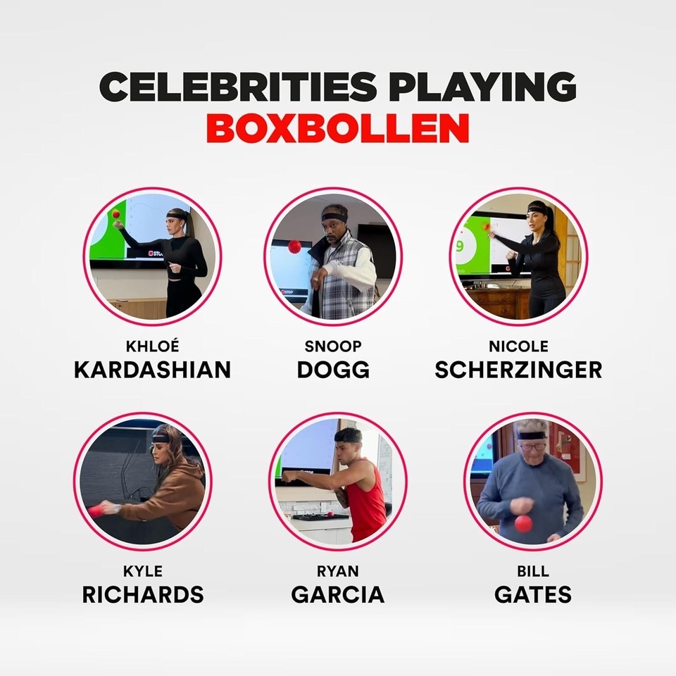 Boxbollen Original with App, Used by Celebrities - MMA Gear Boxing Ball ...