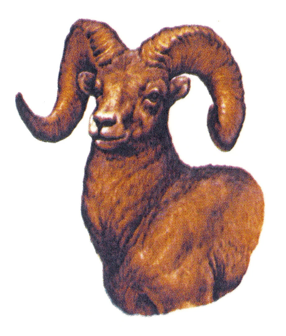 Snow Mountain Ram Animal