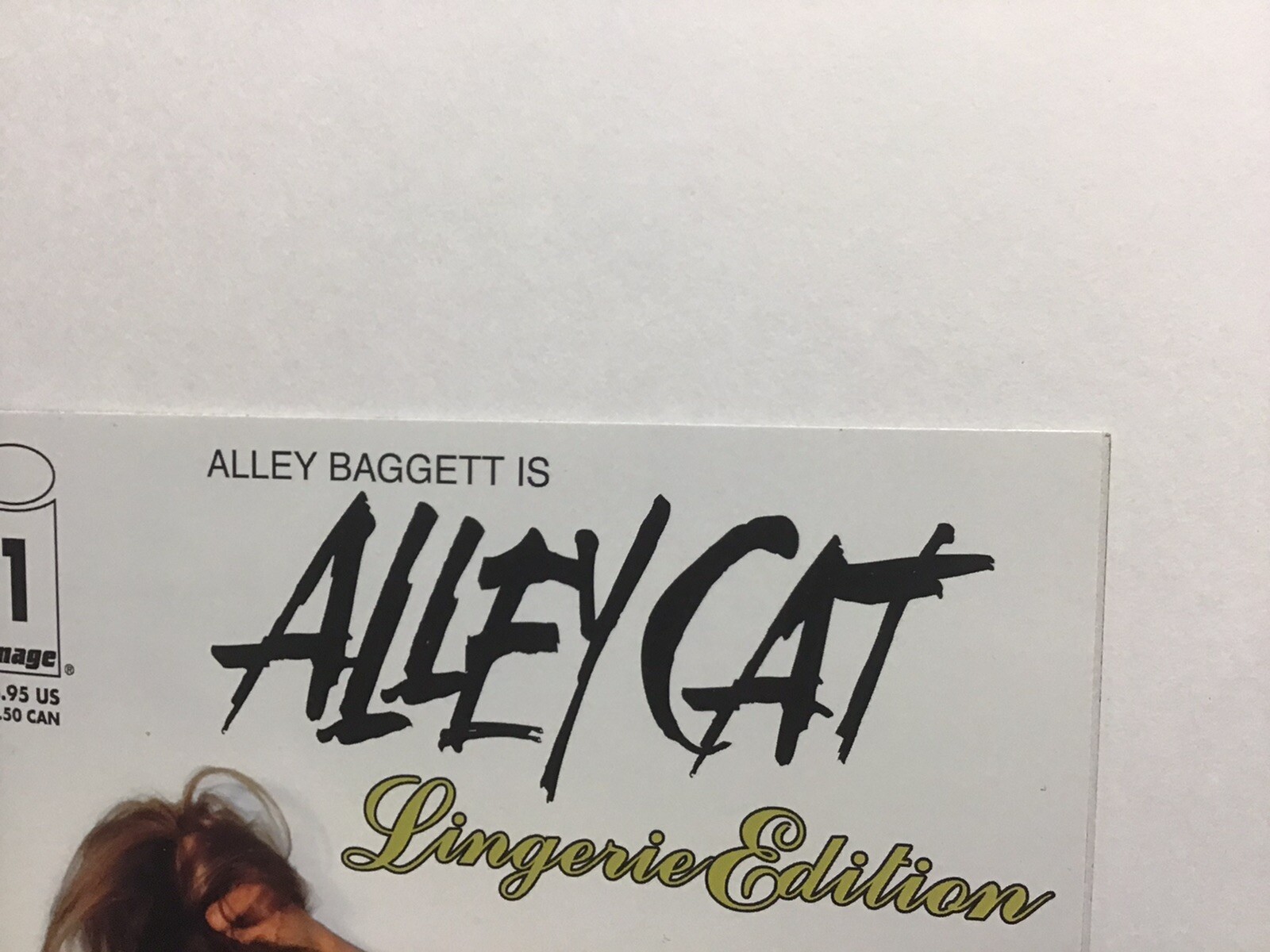 Alley Baggett is Alley Cat, Lingerie Edition #1 Image 1999 Playmate NM ...