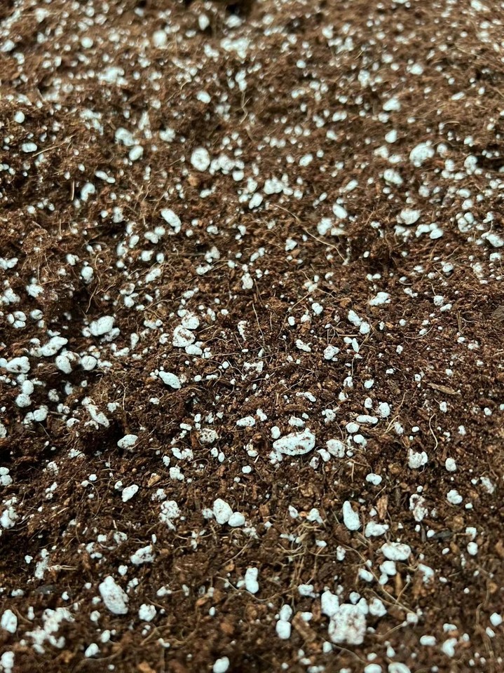 COCO Perlite 70/30 Mix Grow Media 5L/10L Hydroponics Grow Media | eBay