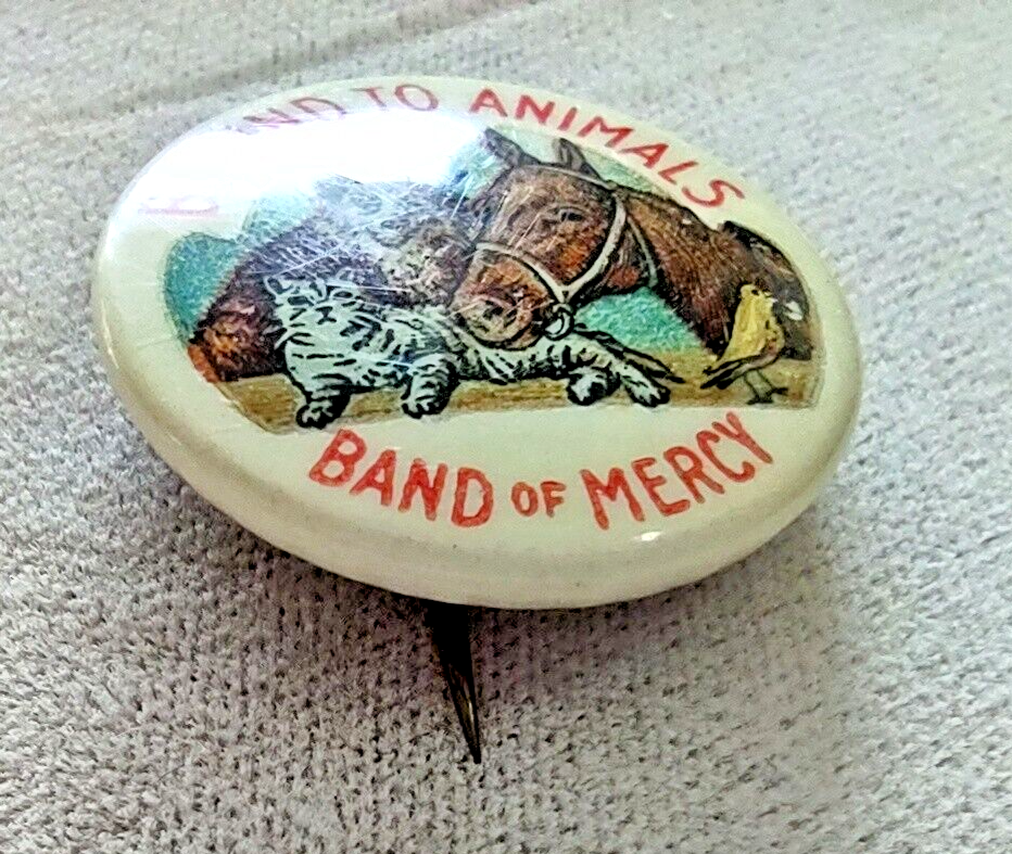 Antique Celluloid Be Kind to Animals Band of Mercy Pledge Pin Back ...