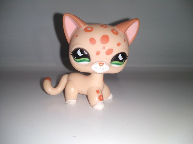 Littlest Pet Shop #852 Short Hair Cat Cheetah/Lps 852/Lps cat/littlest ...