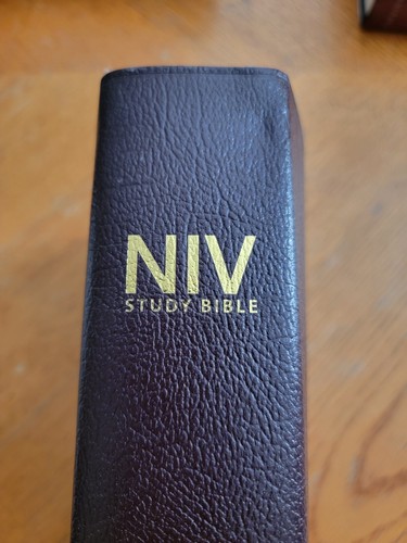 NIV Study Bible | eBay