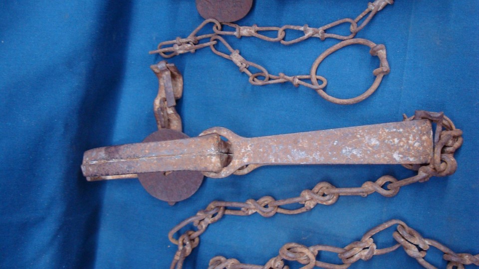 Vintage Lot of 3 Victor Number 1 1/2, 29 Oz Long,Spring Traps | eBay