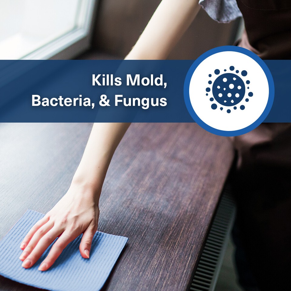 Biocide 100 Multi-Purpose Disinfectant Spray | DIY Mildew and Fungi ...