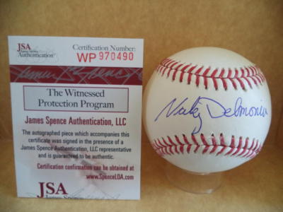 NICKY DELMONICO CHICAGO WHITE SOX SIGNED AUTOGRAPH ML BASEBALL JSA ...