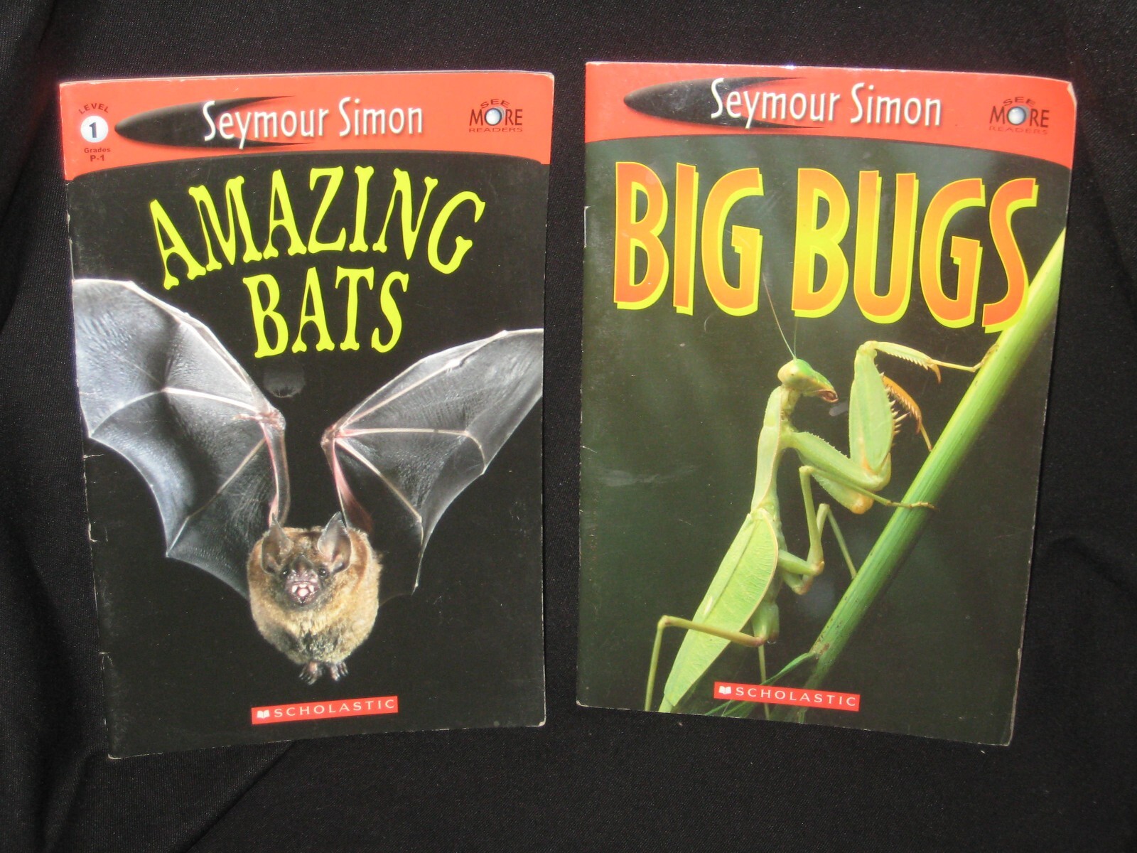 Level 1 Reading Amazing Bats & Big Bugs Seymour Simon Scholastic Grades ...