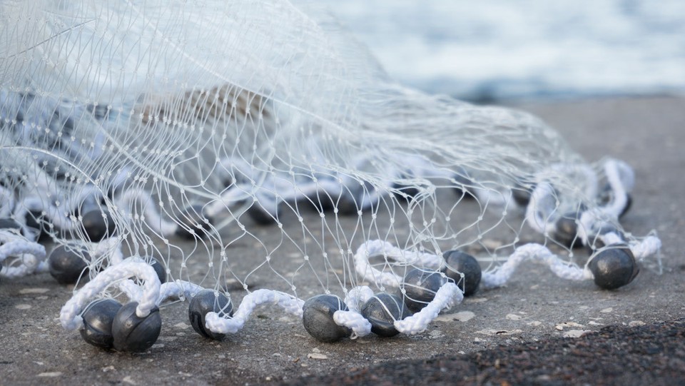 Bait Buster 7 ft. Radius 5/8" Sq. Mesh Bait Cast Net CMN-BB7 by Lee ...