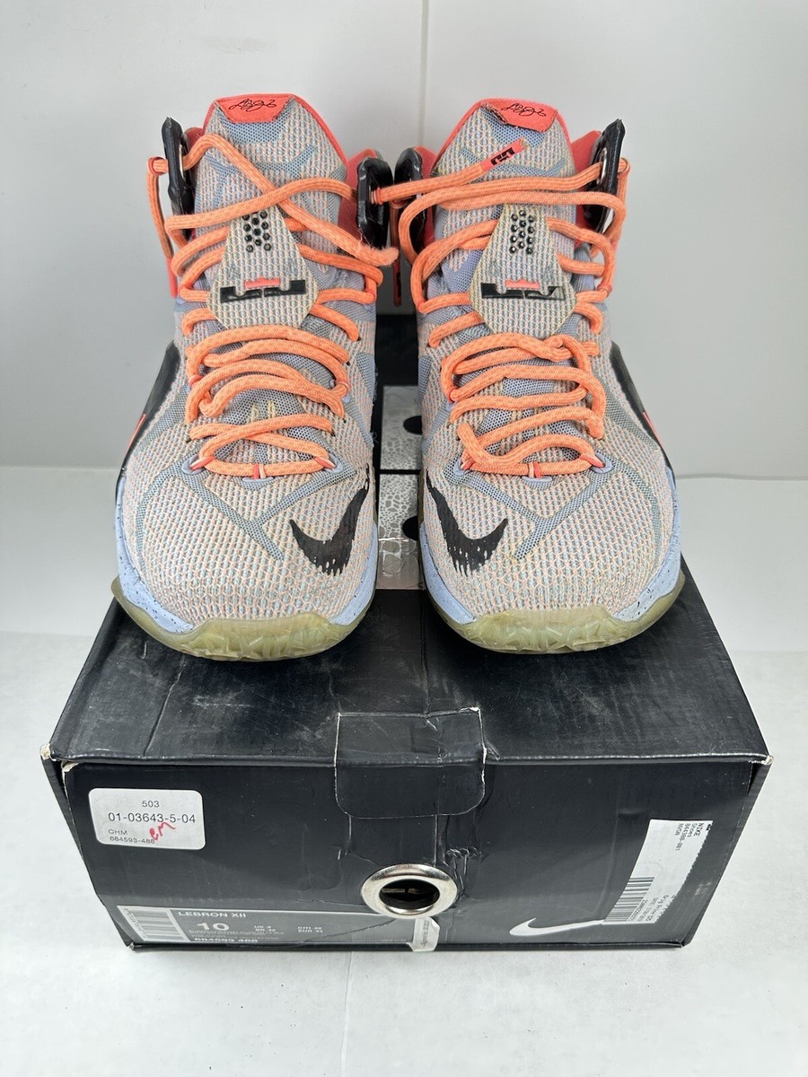 Easter Lebron 12 Nike LeBron 12 Six Meridians Shirt Clothing