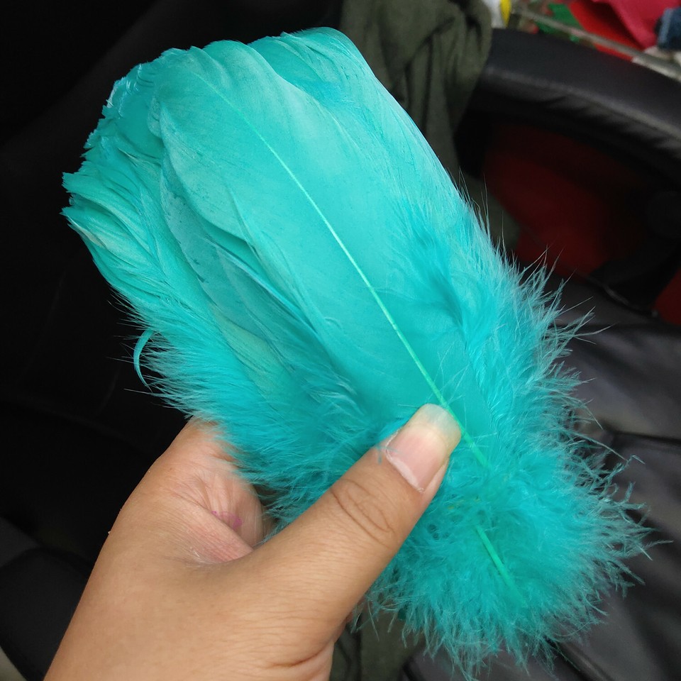 Wholesale 20-100 Pcs Pretty Natural Goose Feathers 12-18 cm/5-7 inches ...