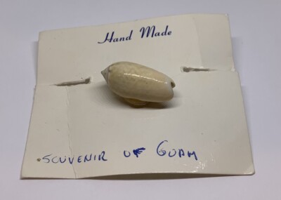 Conidae Seashell Shell Souvenir Of Guam Lapel Pin (142) | eBay