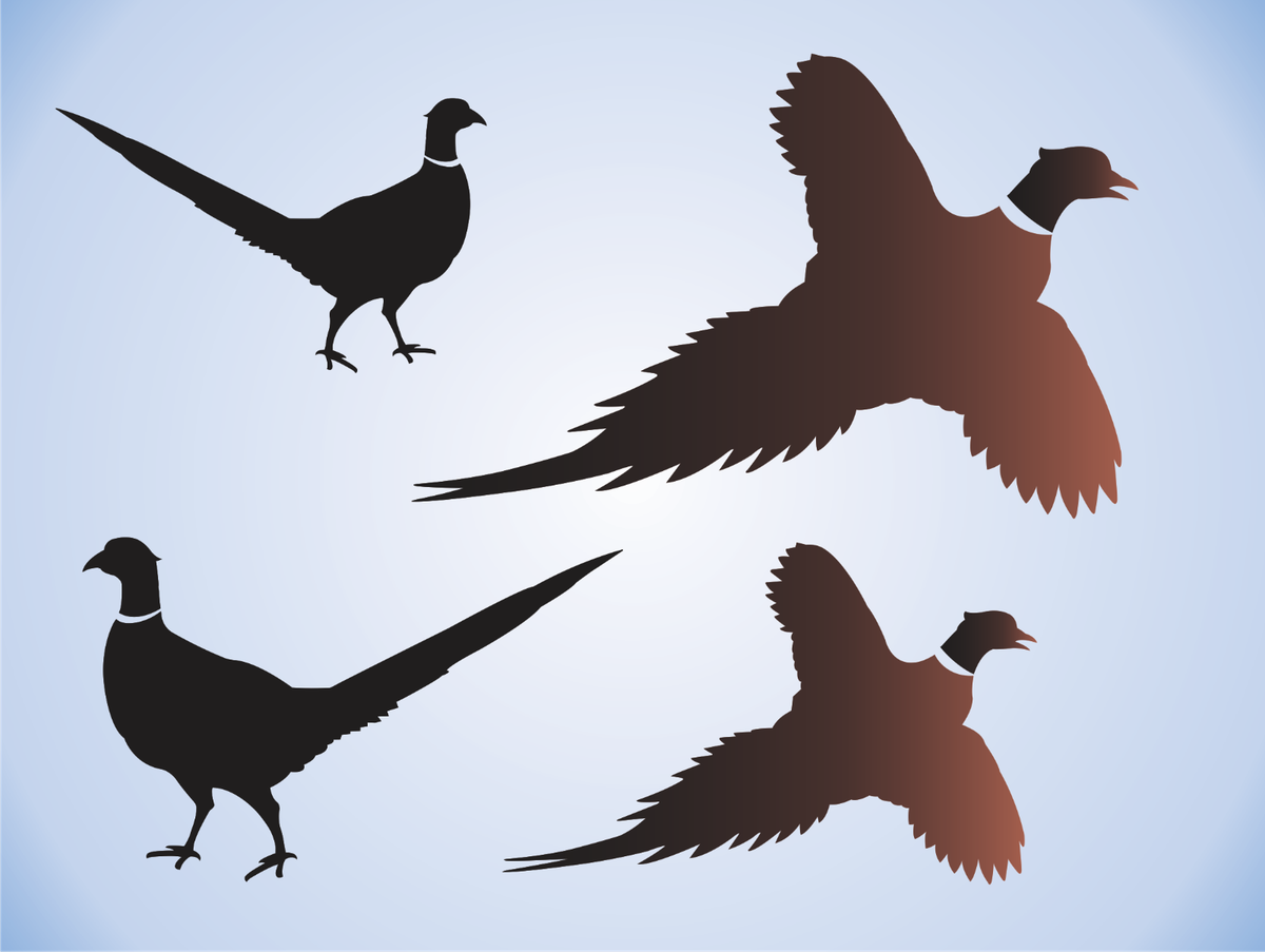Flying Bird Silhouette Stencils