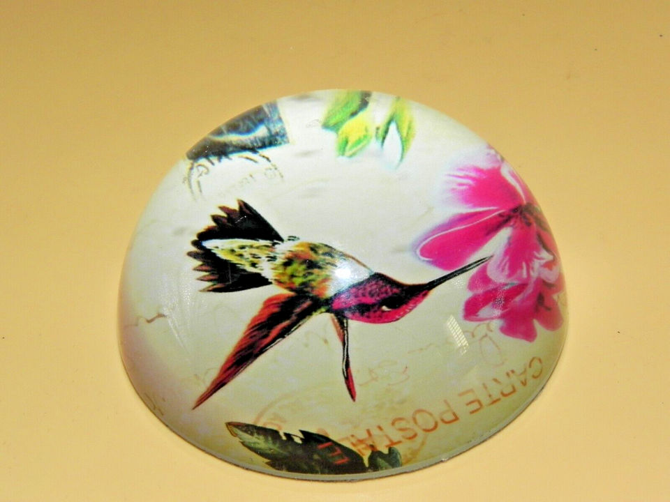 World Buyers Nature Under Glass Paperweight " Hummingbird" | eBay