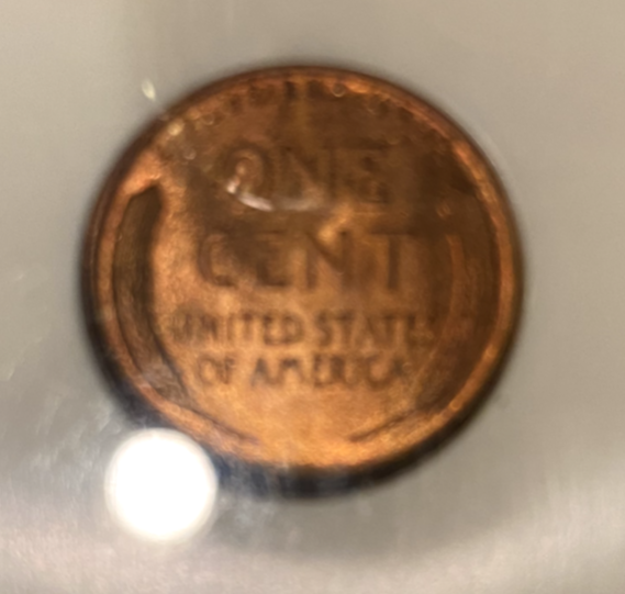 1909 - S S/S VARIETY LINCOLN CENT NGC MS -64RD BRILLANT UNCIRCULATED | eBay