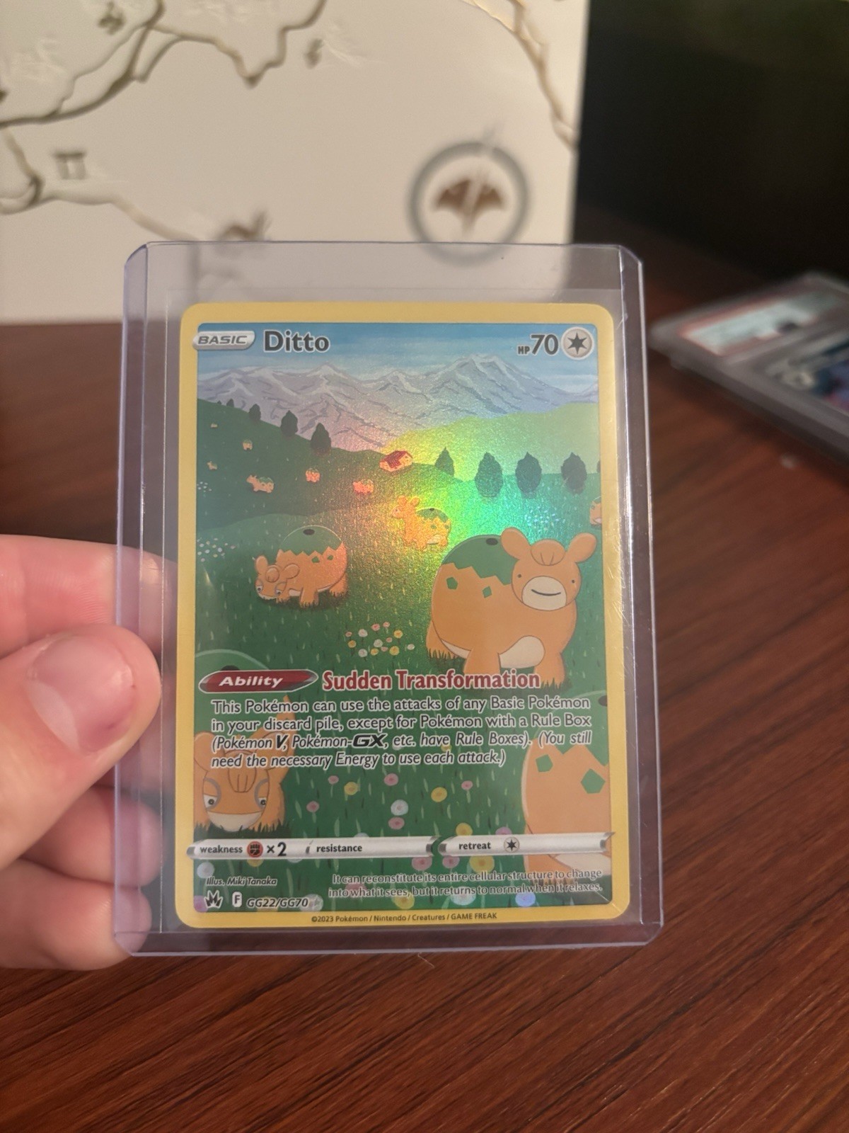 Ditto GG22 Current Market Value | Crown Zenith
