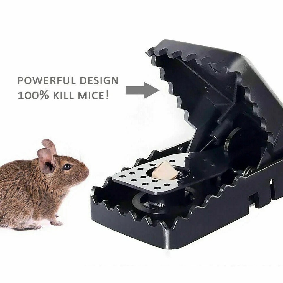 6 Pack Mouse Traps Rat Mice Killer Snap Trap Power Rodent Heavy Duty ...