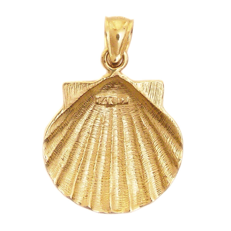 New 14k Yellow Gold Shell Pendant | eBay