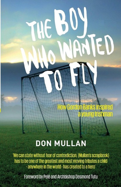The Boy Who Wanted To Fly von Don Mullan (2018, Taschenbuch) online ...