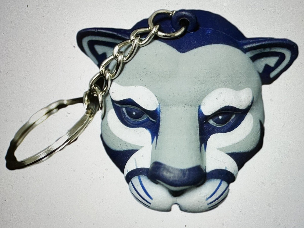 Ncaa Keychains NCAA TEXAS LONGHORNS Football Helmet Paracord Keychain