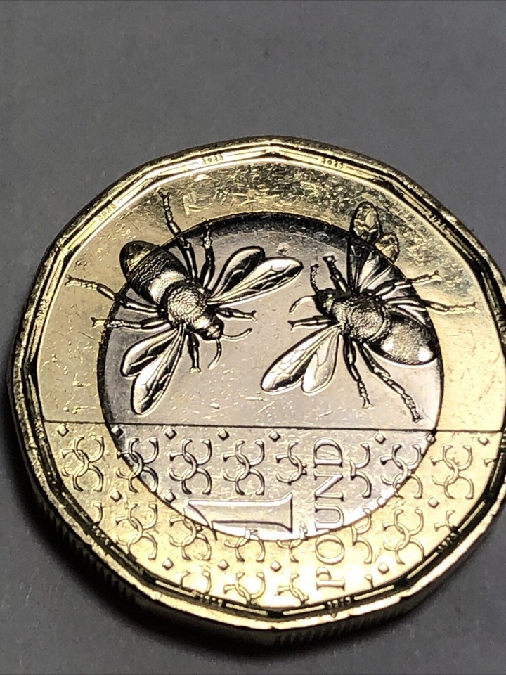 New One Pound Coin King Charles BEE COIN 2023 £1 coin | eBay UK