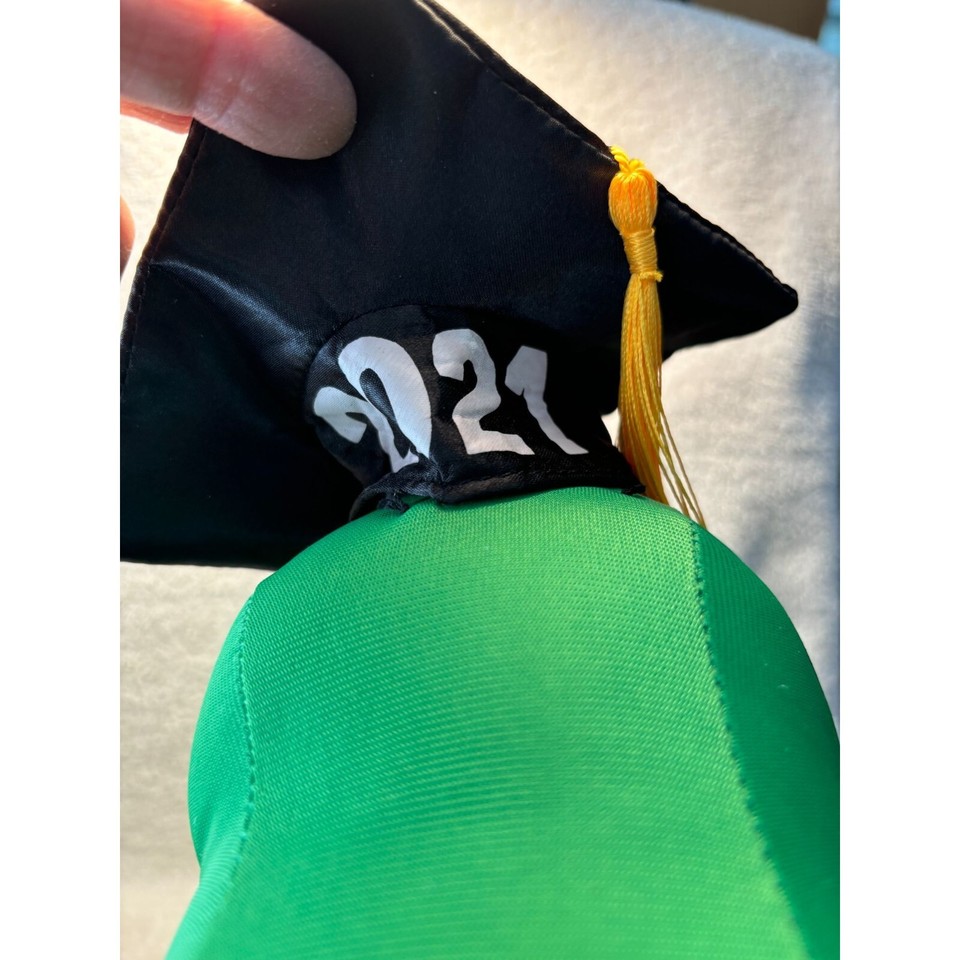 Dino-Mite Grad Dinosaur Plush Toy With Graduation Cap & Diploma 2021 ...