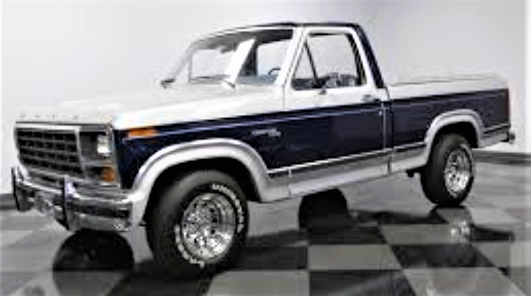 FORD F100 TAIL GATE HANDLE NEW 81-86 TAILGATE F100 F250 | eBay Australia