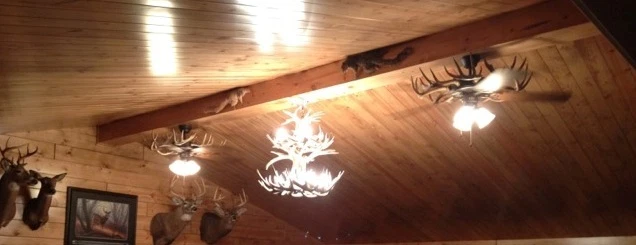 Deer Antler Ceiling Fan With Light | Shelly Lighting