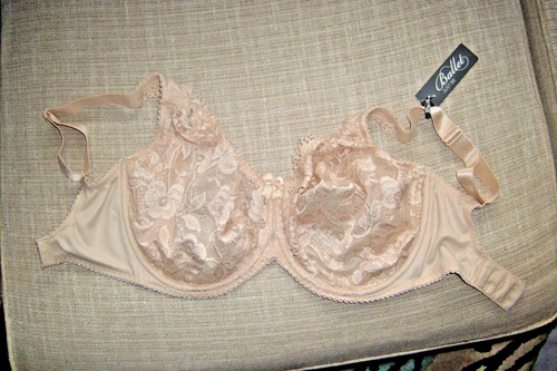 SIZE 30ff BEAUTIFUL BALLET LACE EMBROIDERED CUPS STYLE 720A NATURAL ...