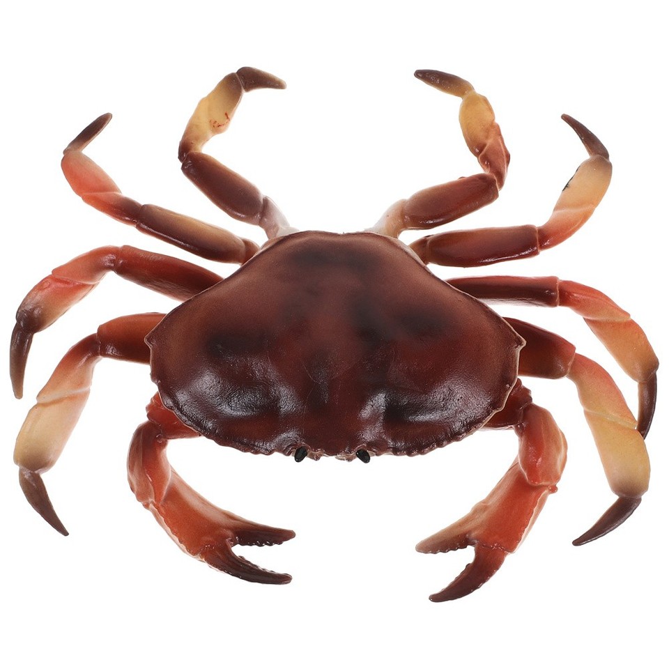 Simulation Realistic Crab Model Fake Crab Model Lifelike Simulated ...