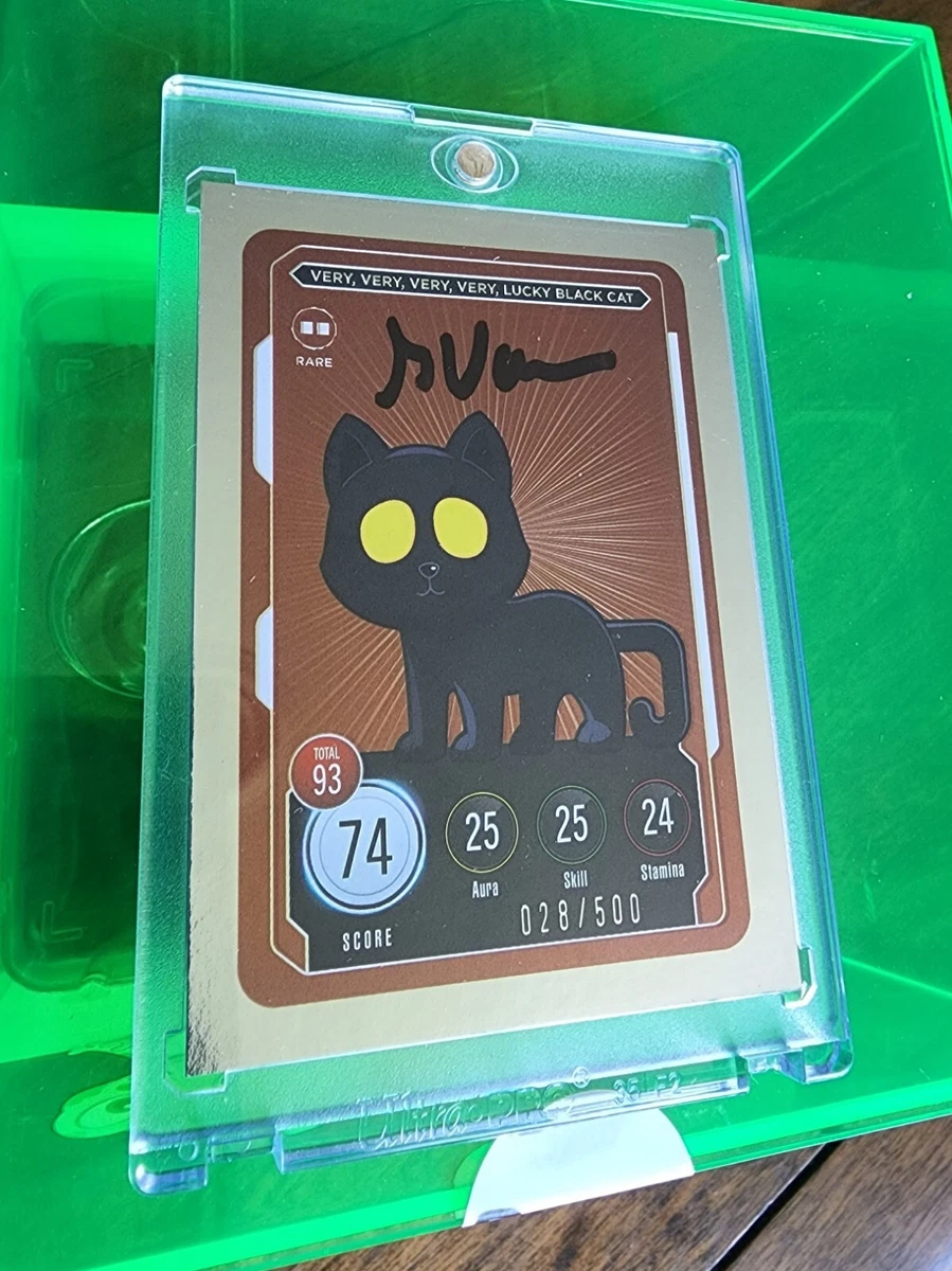 Pokemon Card Black Cat
