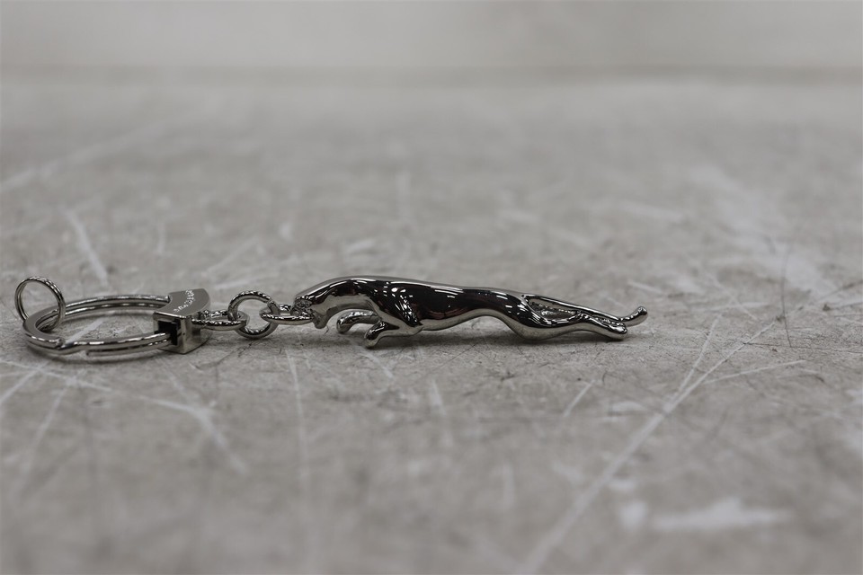NEW Jaguar 2 Tier Key Ring Key Chain Handover Pack 50JFGF334RDA | eBay
