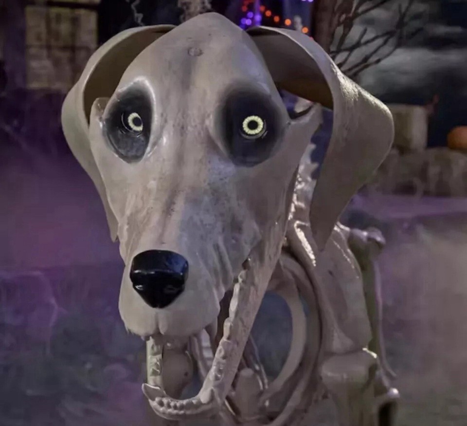 7 FOOT Skeleton Dog Skelly's Home Accent Halloween 2025 GREAT DEAL 05/ ...