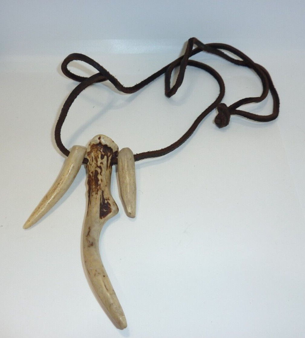 Viking Dragon Fang Tooth Claw Pendant Necklace BROWN … - Gem