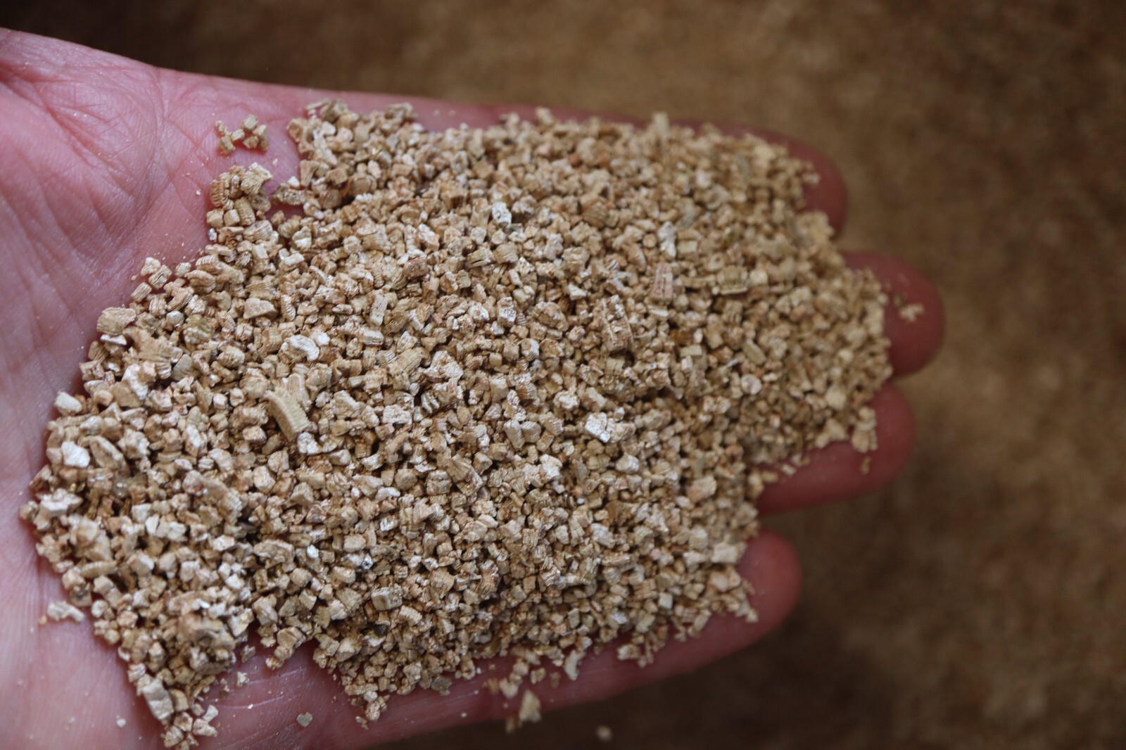 Vermiculite Substrates,Reptile,Praying Mantis Spider,Stick insect.1Ltr ...