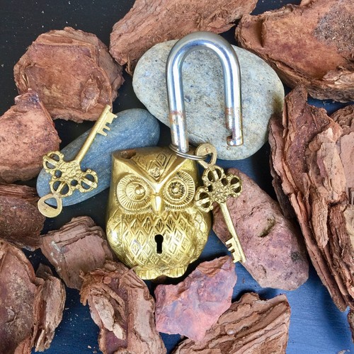 Antique Owl Padlock Solid Brass working love lock skeleton key Rustic ...