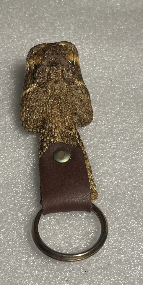 Rattlesnake Head Keychain Real Taxidermy Car Key Ring | eBay